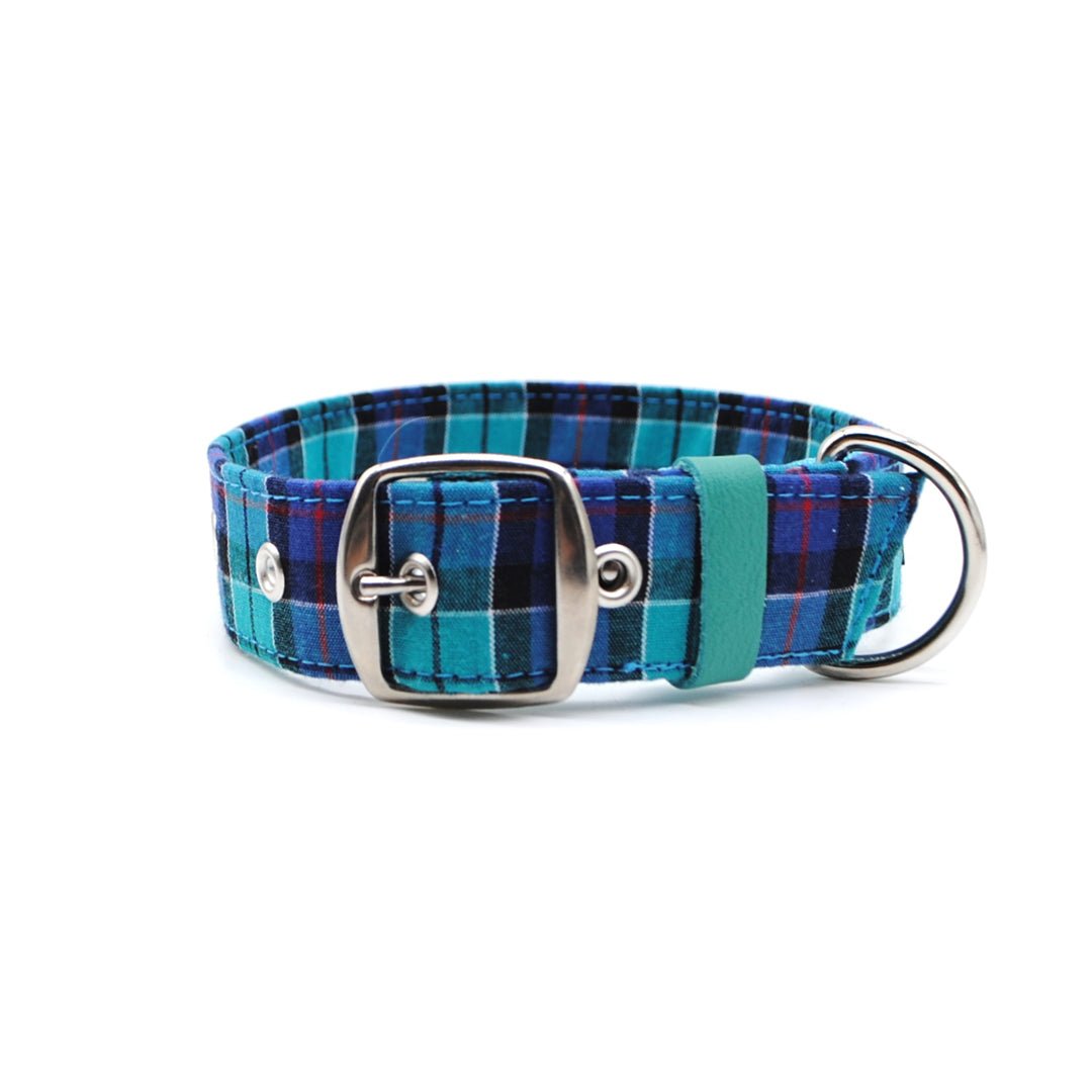 Collar cuadrillé calipso & azul – Perros Unidos
